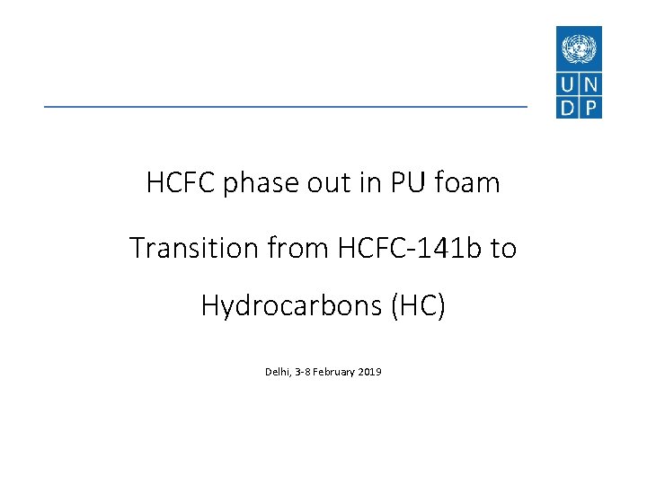 HCFC141 b phase out in PU foam Delhi