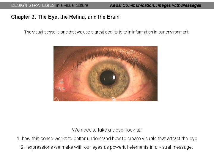 DESIGN STRATEGIES in a visual culture Visual Communication