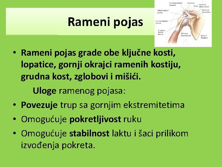 NASTAVNI PREDMETREHABILITACIJA U SPORTU VIII PREDAVANJE Povrede zgloba