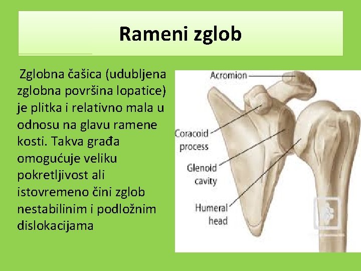 NASTAVNI PREDMETREHABILITACIJA U SPORTU VIII PREDAVANJE Povrede zgloba