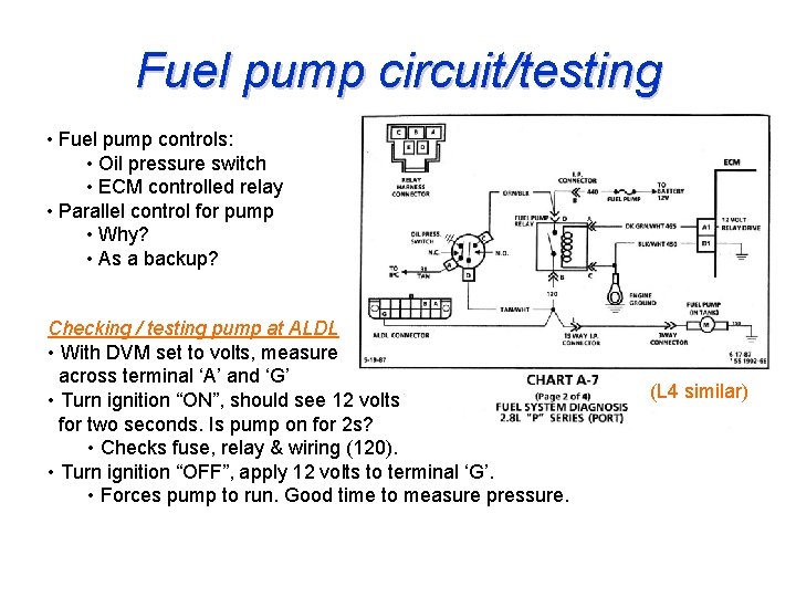 March 21 st 2009 club meeting Presentation topics