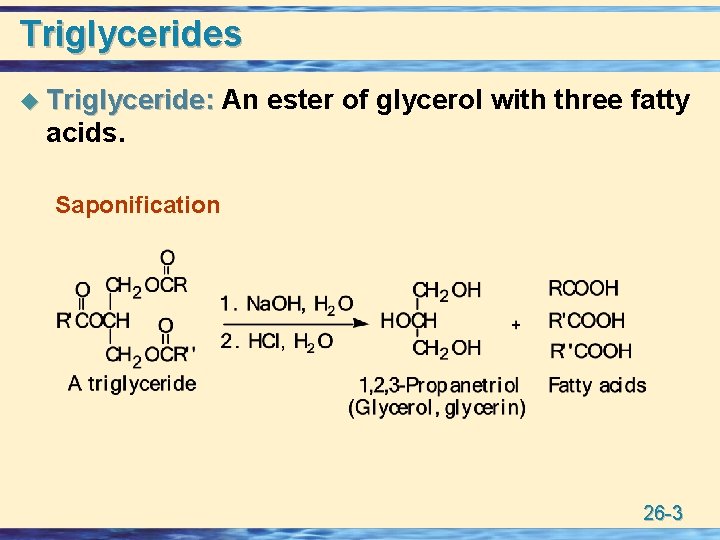 Lipids Chapter 26 26 1 Lipids u Lipids