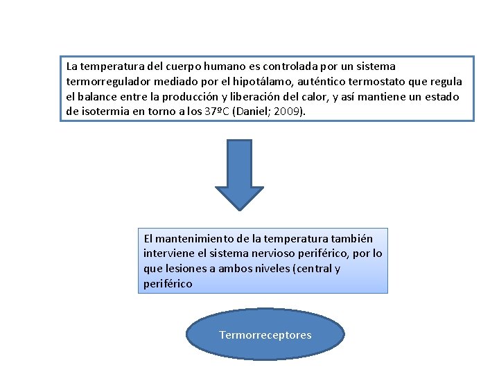 Termorreceptores y Termorregulacin Professor Vernica Pantoja Lic MSP