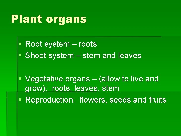 Plants II Plant organs Plant organs Root system