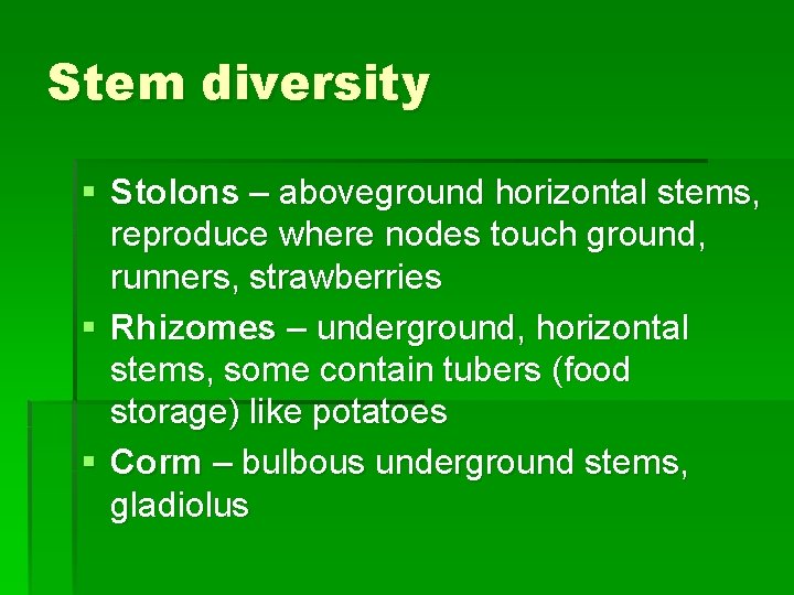 Plants II Plant organs Plant organs Root system