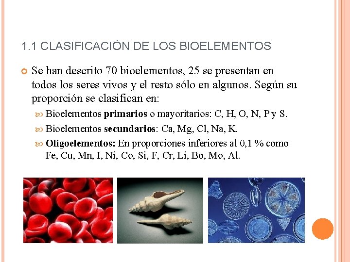 BIOLOGA 2 BACHILLERATO Bloque I La clula y