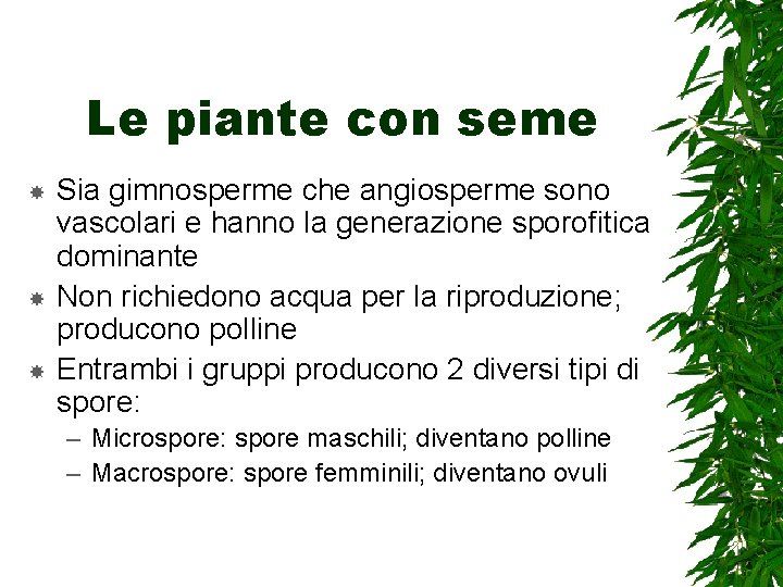 Regno delle piante Prof ssa Elena Truffo Anno