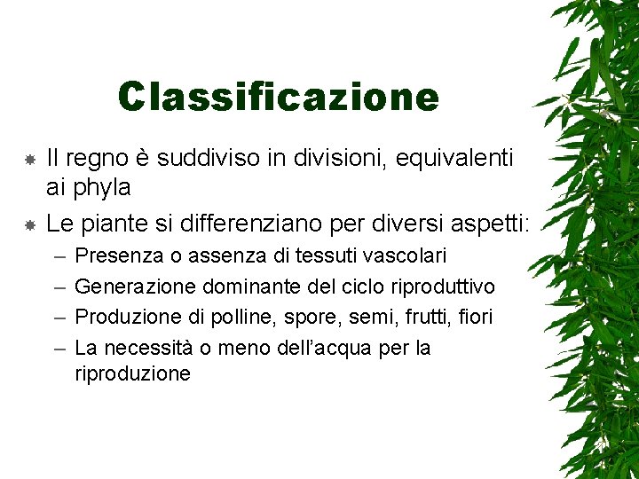 Regno delle piante Prof ssa Elena Truffo Anno