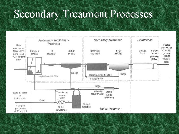 Secondary Treatment Processes Two Types 1 Attached growth