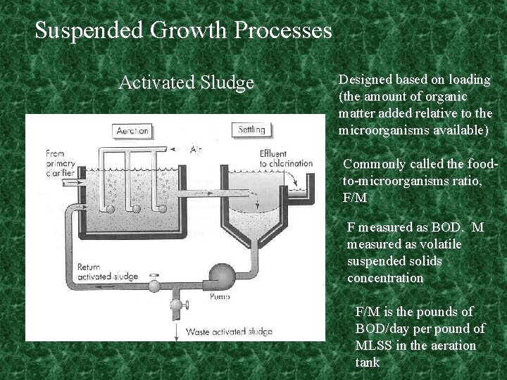 Secondary Treatment Processes Two Types 1 Attached growth