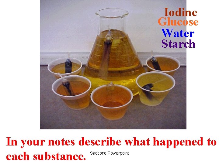 NYS Lab Diffusion Through a Membrane Dialysis Cell