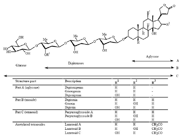 Cardiac glycosides Cardioactive glycosides A considerable number of