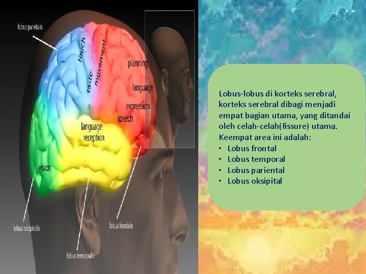 NEUROSAINS KOGNITIF NEUROSAINS KOGNITIF adalah pendekatan dalam psikologi