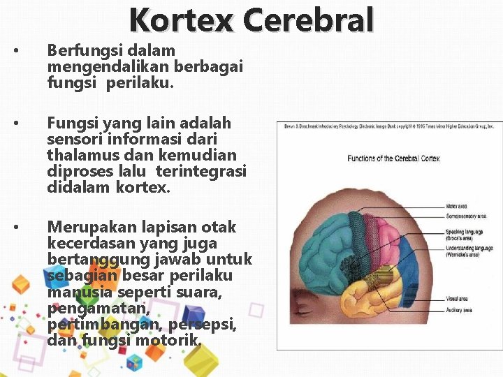 NEUROSAINS KOGNITIF NEUROSAINS KOGNITIF adalah pendekatan dalam psikologi