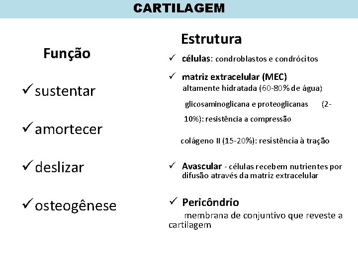 Cartilagem Osso Ossificao Profa Maria Luisa PaLarson 1