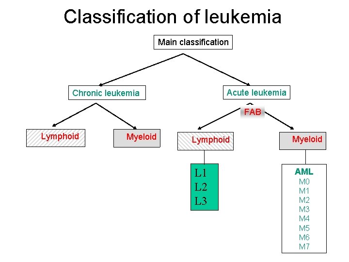 The Acute Leukaemias Ahmad Sh Silmi Msc Haematology