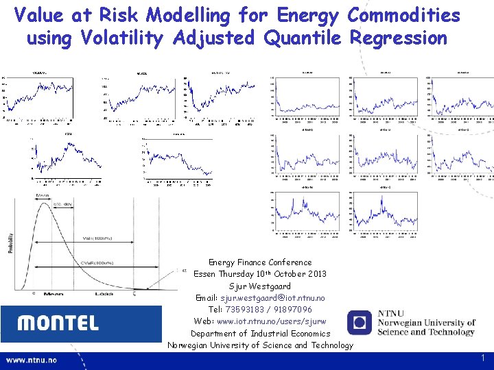 Value at Risk Modelling for Energy Commodities using