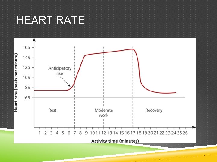 ACUTE RESPONSES TO EXERCISE KEY KNOWLEDGE The mechanisms