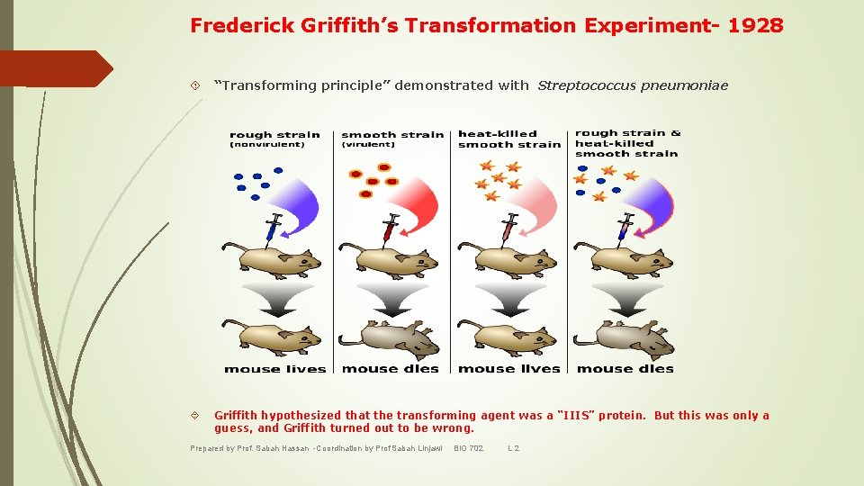 Advanced Molecular Genetics Prepared by Prof Sabah Hassan