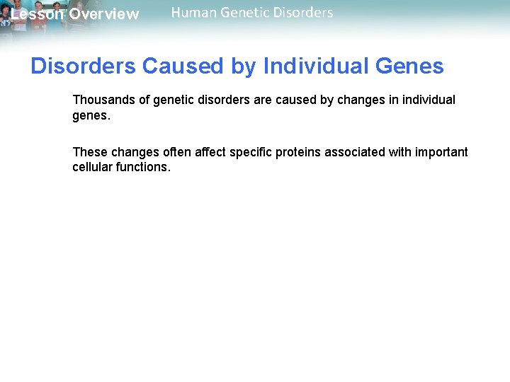 Lesson Overview Human Genetic Disorders 14 2 Human
