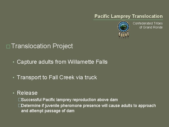 Pacific Lamprey Translocation Confederated Tribes of Grand Ronde