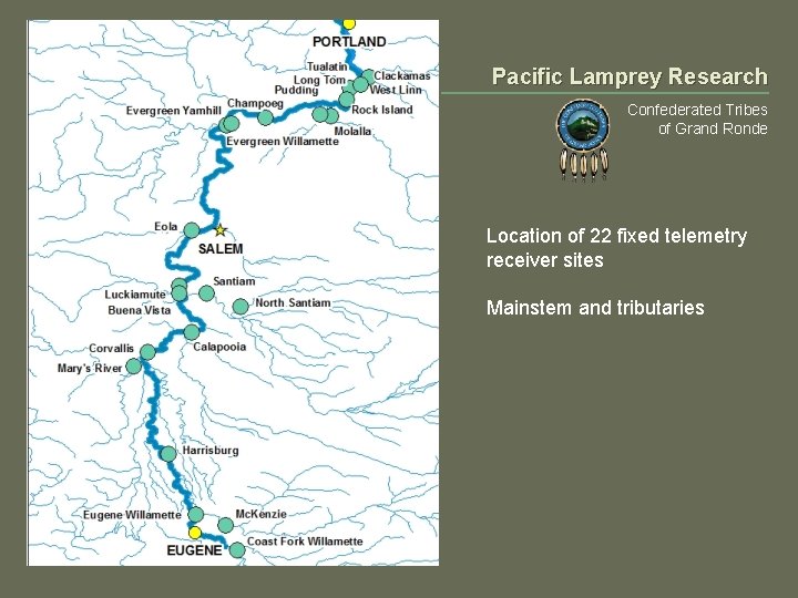 Pacific Lamprey Translocation Confederated Tribes of Grand Ronde