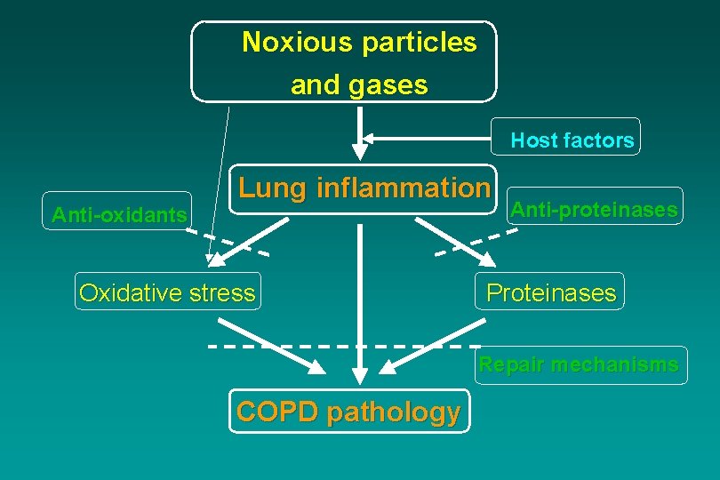 Pathogenesis of COPD NOXIOUS AGENT tobacco smoke pollutants