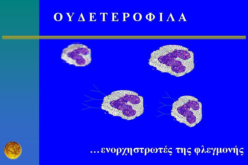 Pathogenesis of COPD NOXIOUS AGENT tobacco smoke pollutants