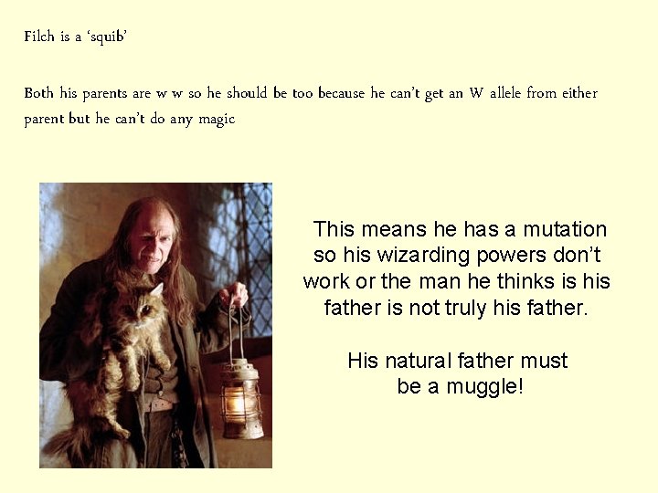 Harry Potter and the Recessive Allele How Are