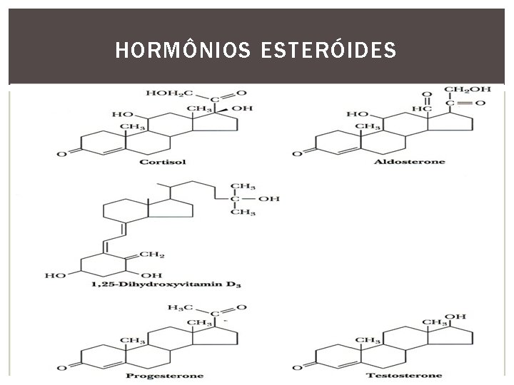 HORMNIOS ESTERIDES HORMNIOS ESTERIDES HORMNIOS ESTERIDES Hormnios do