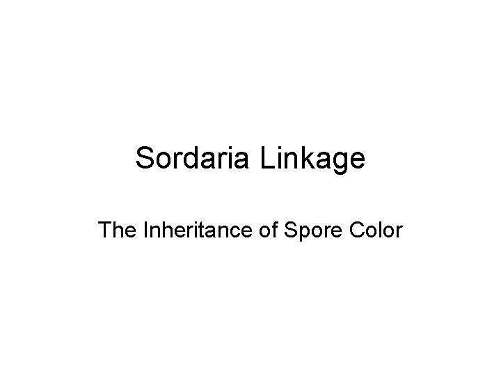 Sordaria Linkage The Inheritance of Spore Color Sordaria