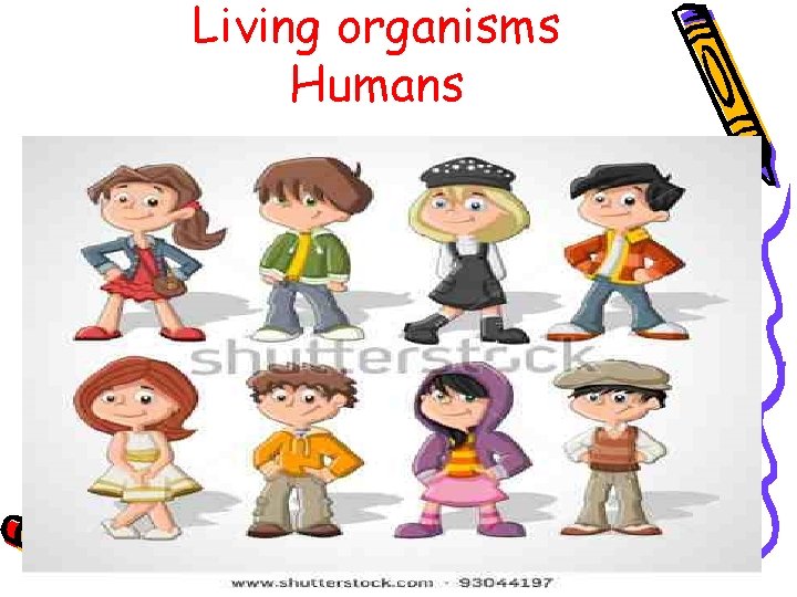 Habitats Living organisms Living organisms Humans Living organisms