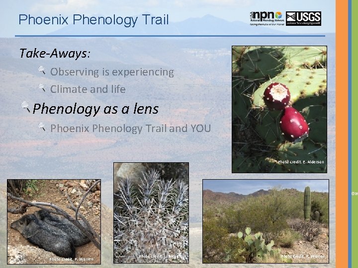 Phoenix Phenology Trail Phenology Observations Ideas for Community