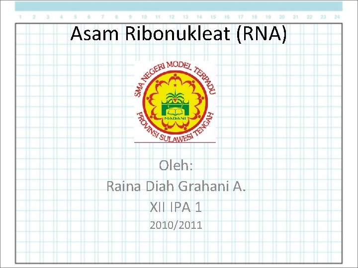 Asam Ribonukleat RNA Oleh Raina Diah Grahani A