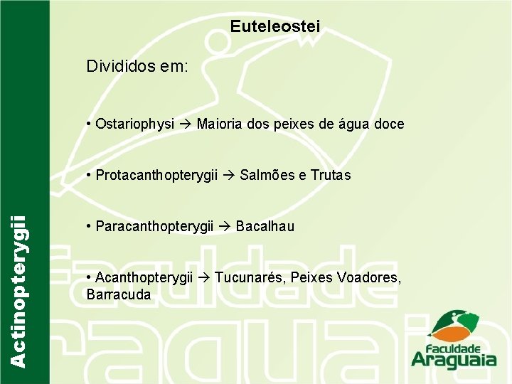 Actinopterygii Actino grego Raio Actinopterygii Pteryg grego Nadadeira