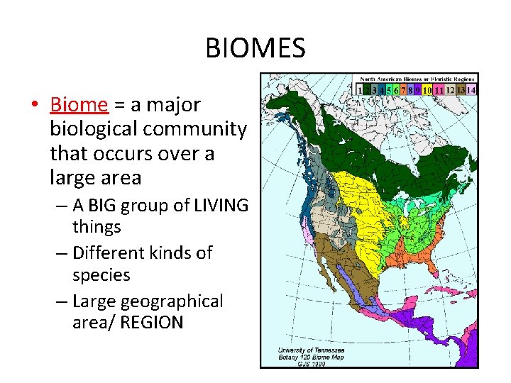 BIOMES BIOMES Biome a major biological community that