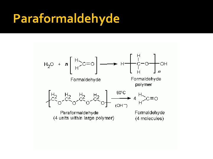 Alice Thwin Nikon Imaging Center Sample Prep and
