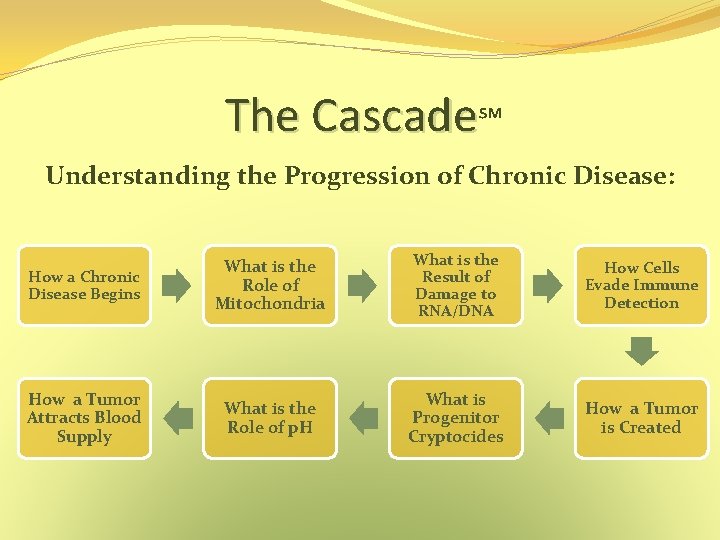 The Cascade A Timeline of Chronic Disease Prevention