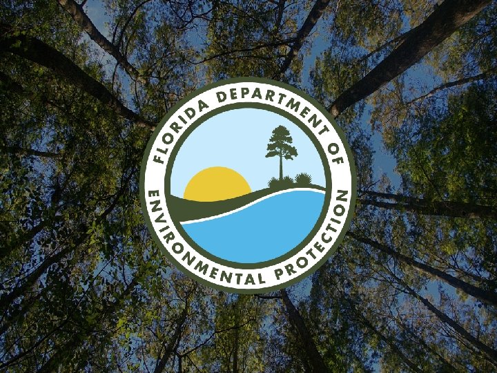 Stormwater Benjamin Melnick Deputy Director Division of Water