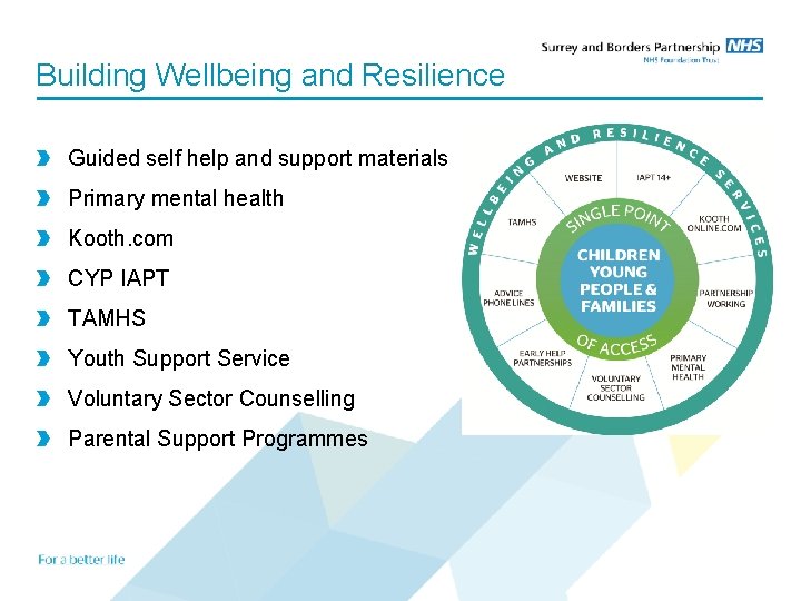 Mindsight CAMHS service and a Behaviour Emotional and