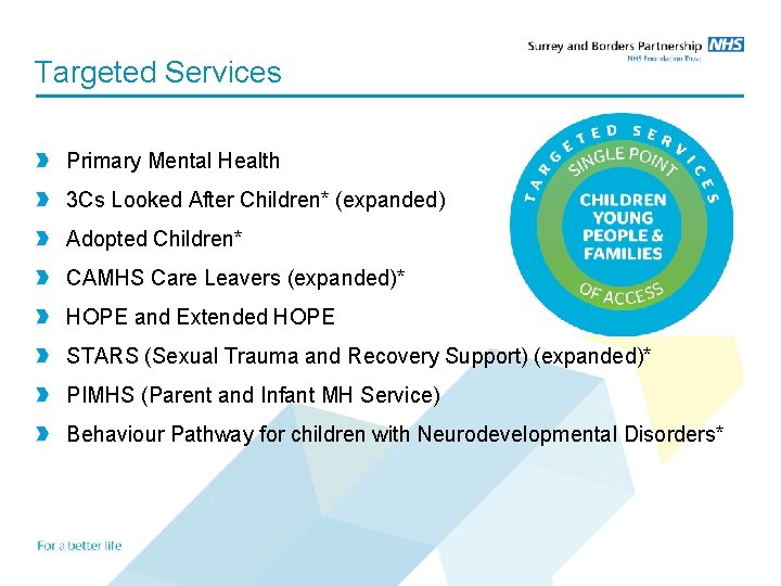 Mindsight CAMHS service and a Behaviour Emotional and