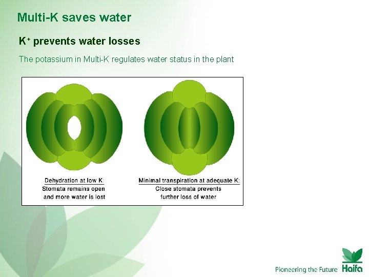 The benefits of MultiK Potassium Nitrate MultiK potassium