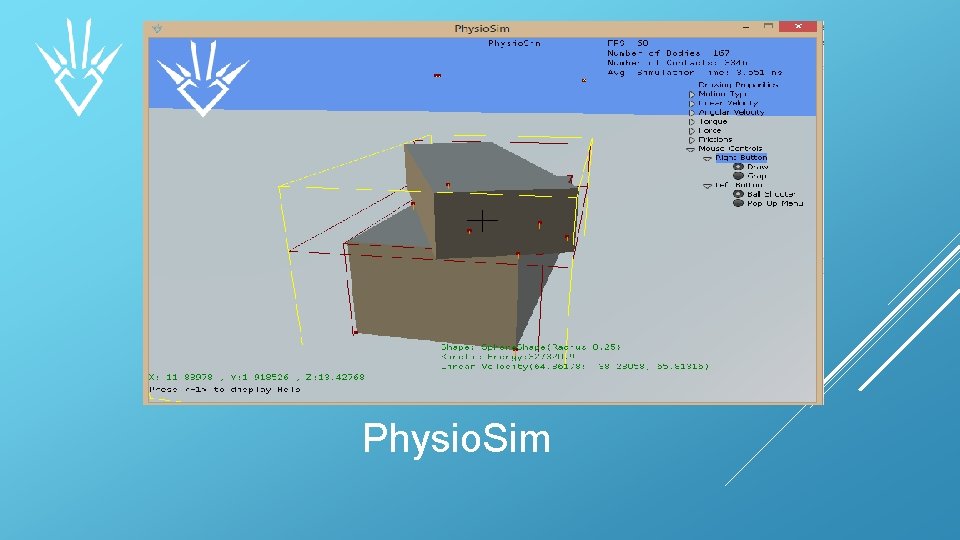 Physio Sim by Akram Dweikat Supervised by Dr