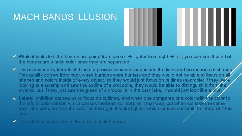 OPTICAL ILLUSIONS Mary Pate Emory Gatchell EXPANDING YOUR