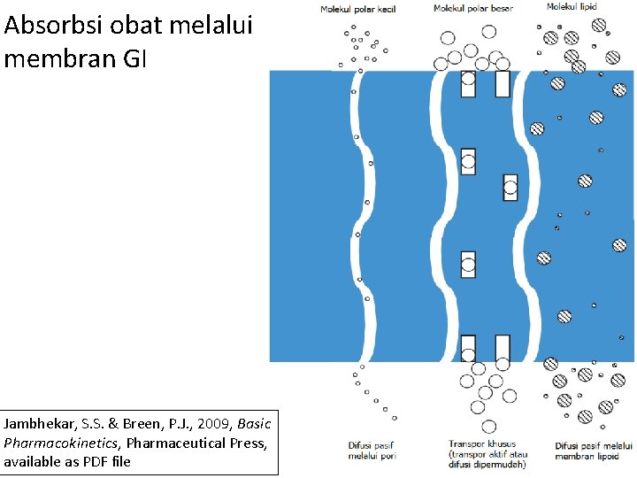 MATERI KULIAH BIOFARMASETIKA MEMBRAN BIOLOGIS DAN MEKANISME ABSORBSI
