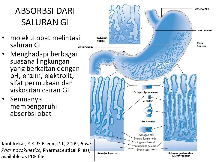 MATERI KULIAH BIOFARMASETIKA MEMBRAN BIOLOGIS DAN MEKANISME ABSORBSI