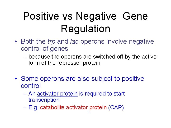 32 Gene regulation continued Lecture Outline 112105 Review