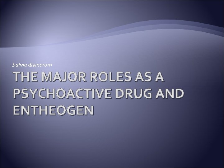 Salvia divinorum THE MAJOR ROLES AS A PSYCHOACTIVE