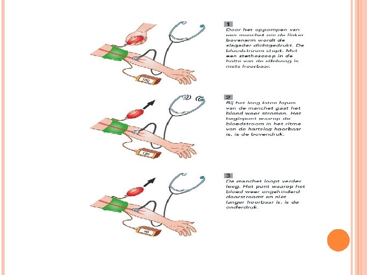 HET METEN VAN DE VITALE FUNCTIES DOELEN LES