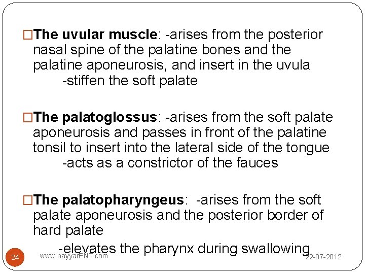 SURGICAL ANATOMY OF THE NASOPHARYNX Dr Supreet Singh